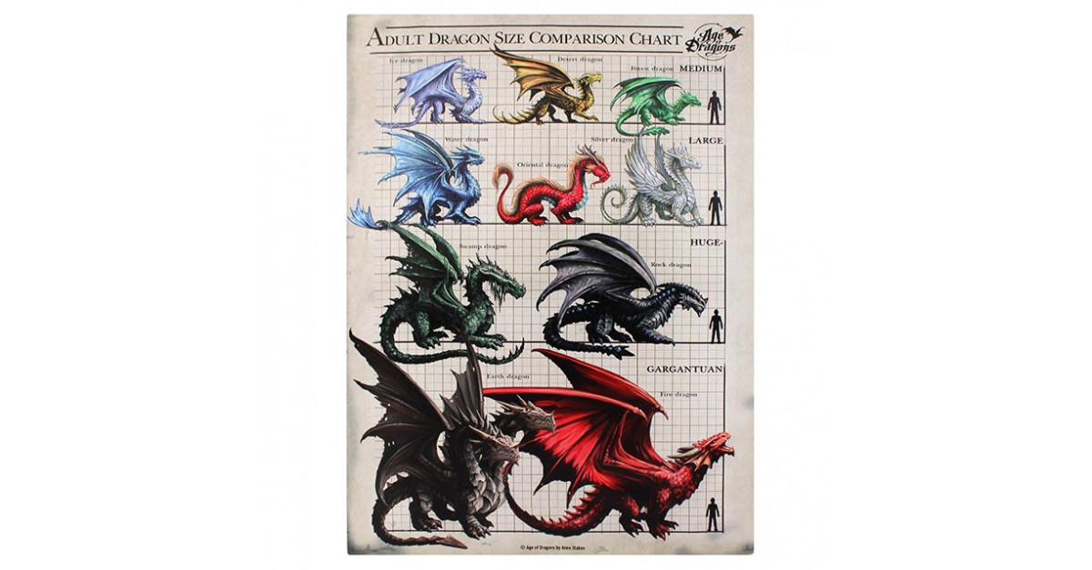 dragon size chart maker