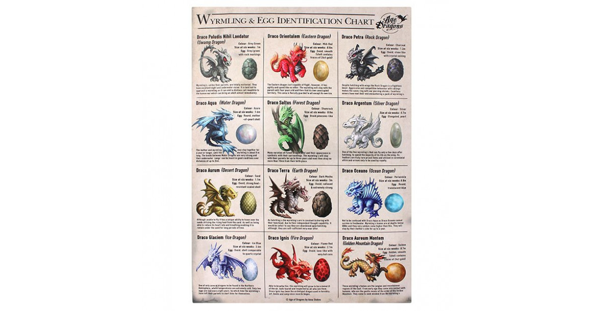 Wyrmling & Egg Identification Chart Canvas Plaque (Small) - Eternal Goth