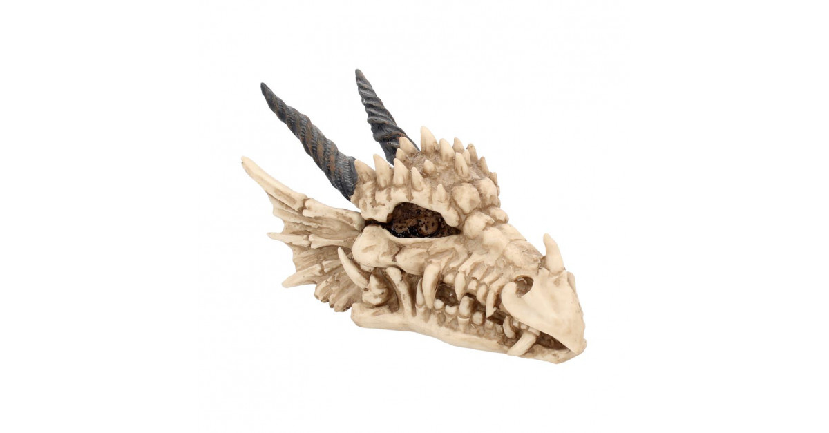 Dragon Skull Box (20cm) - Eternal Goth