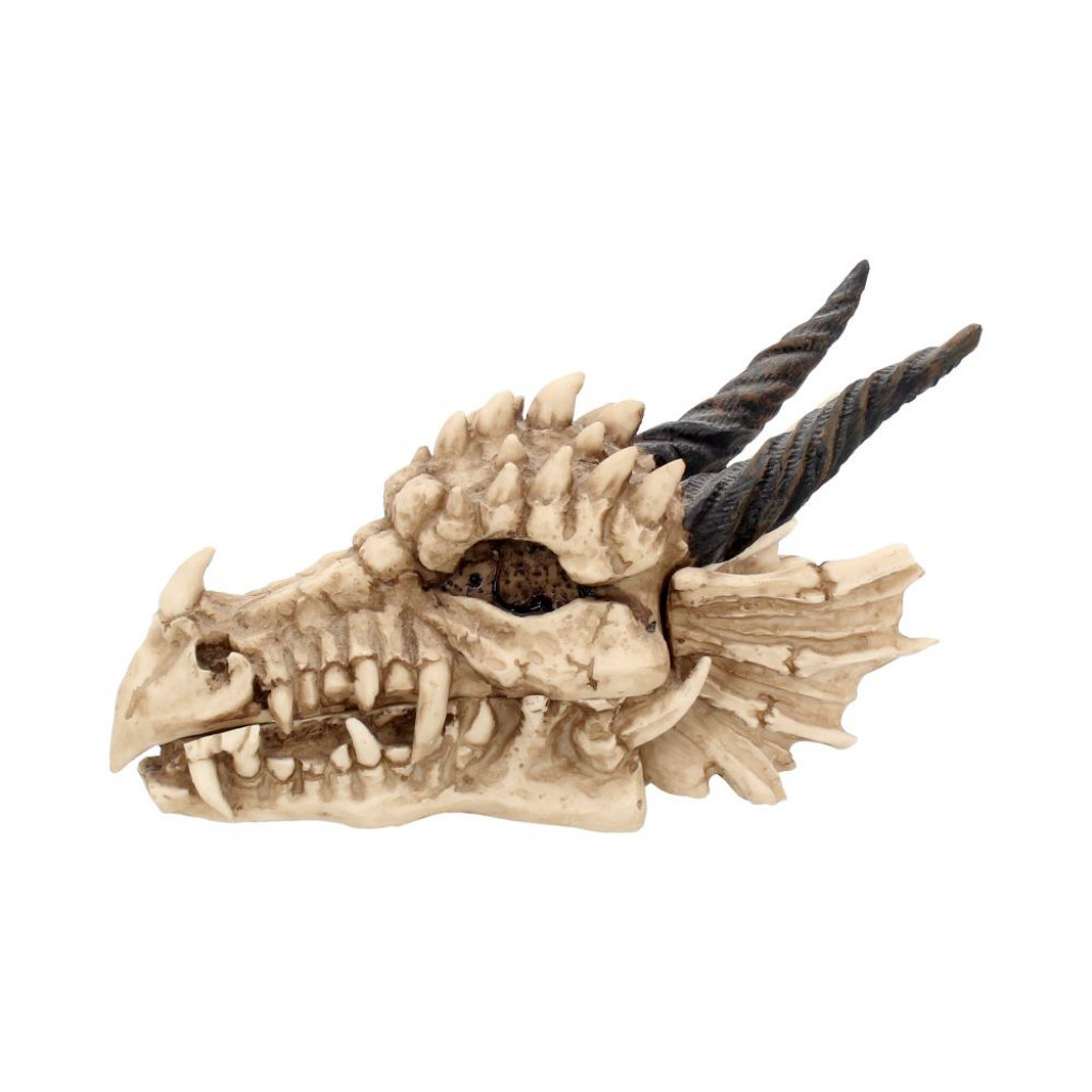 Dragon Skull Box (20cm) - Eternal Goth