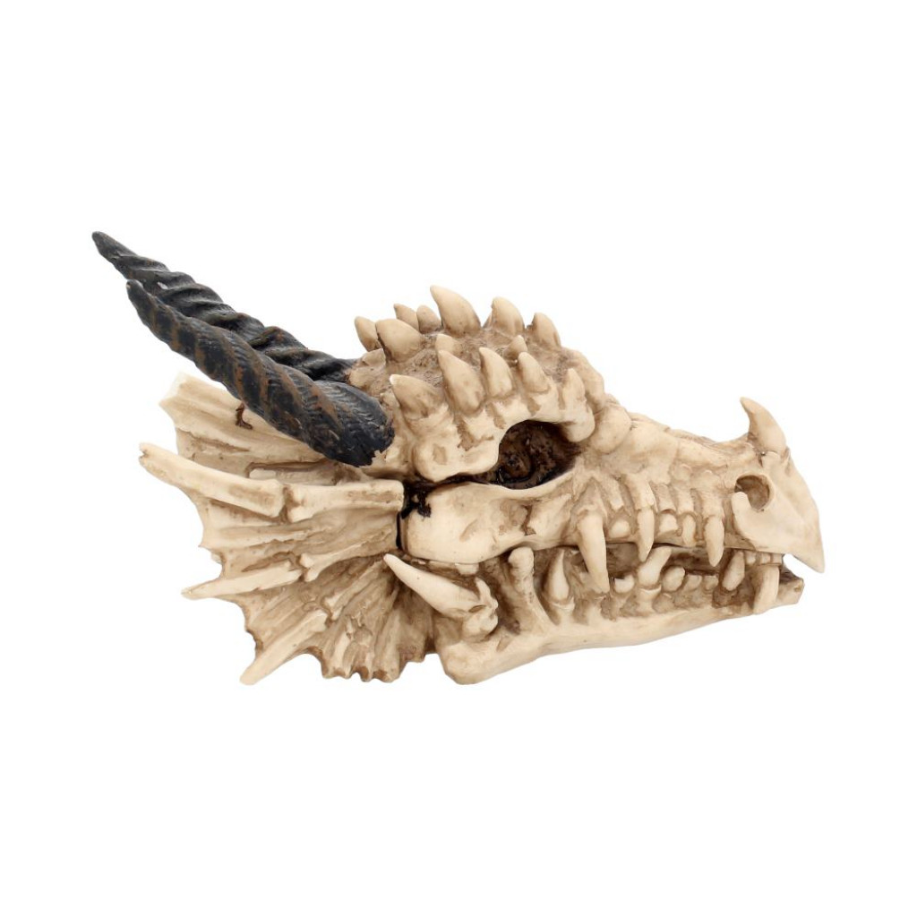 Dragon Skull Box (20cm) - Eternal Goth